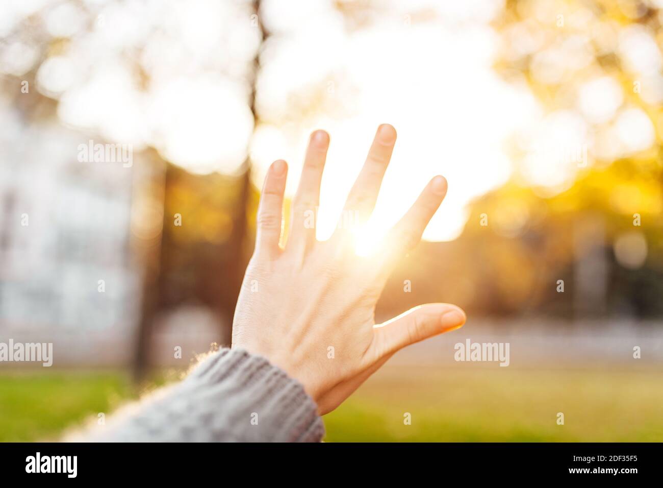Hand silhouette against sunset. Rays of sun between fingers. Nature ...