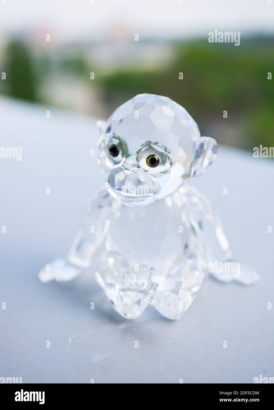 Monkey with glasses hi-res stock photography and images - Alamy