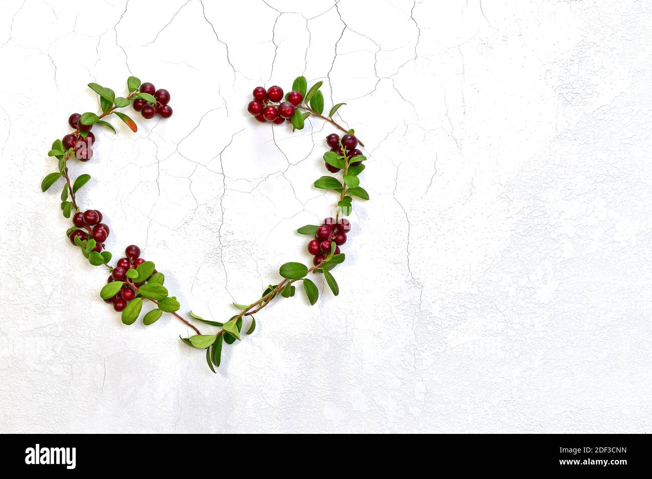 The shape of the heart is decomposed by a layout twigs of cranberries ...