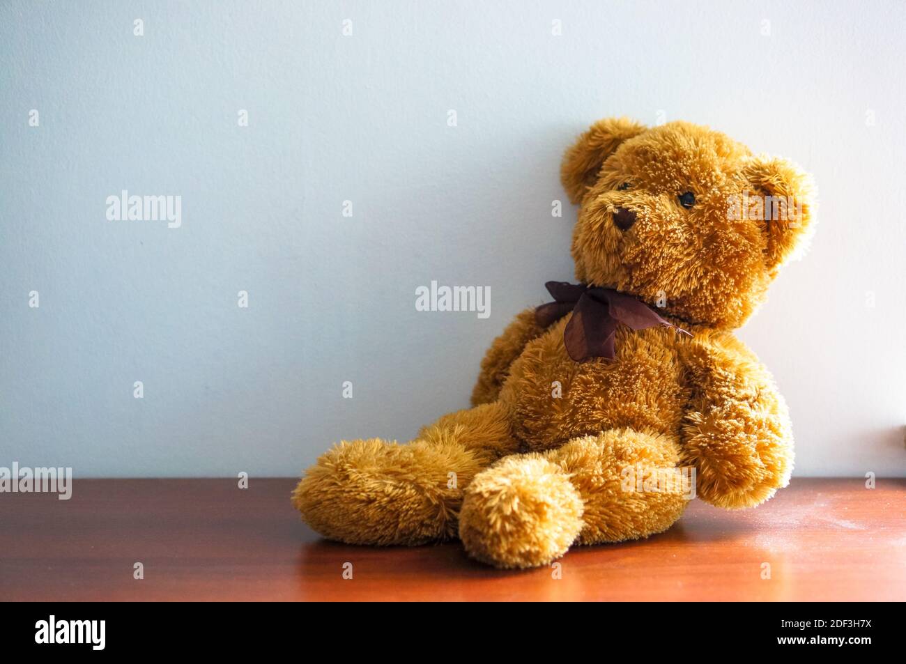 Plush brown bear hi-res stock photography and images - Alamy