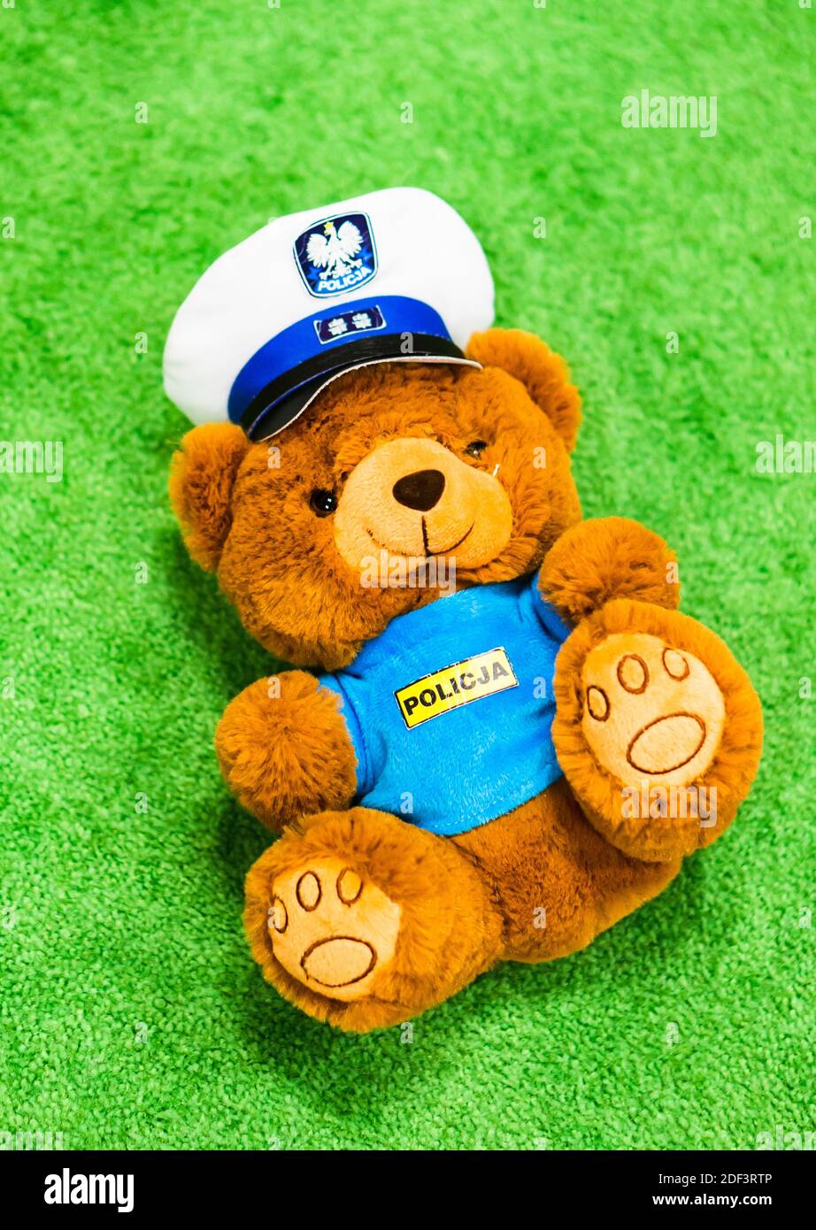 A top view of a fluffy teddy bear in police uniform on a green cloth ...