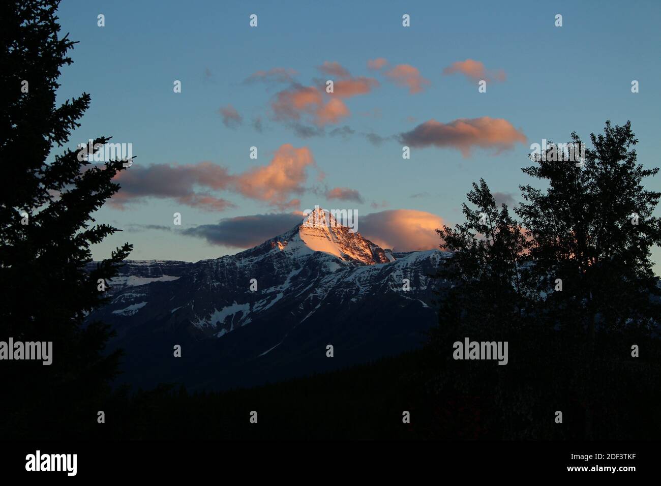 Outram hi-res stock photography and images - Alamy