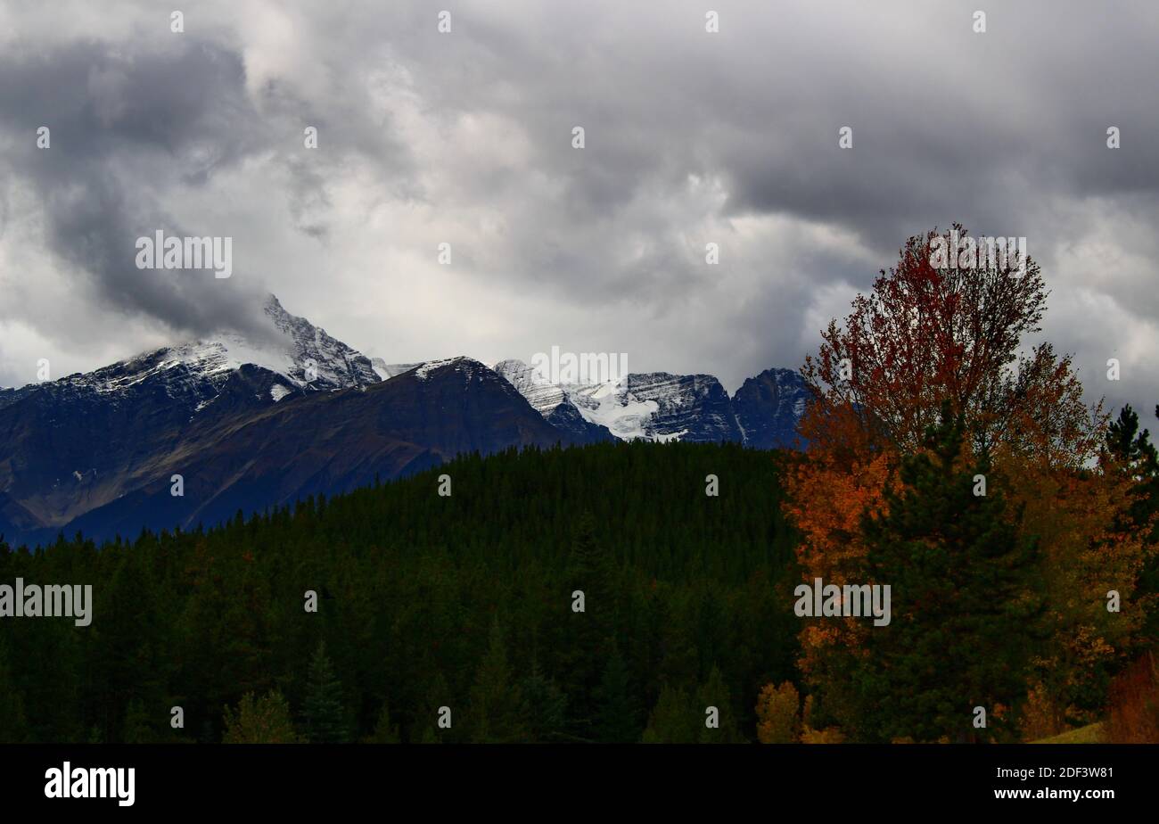 Fall is slowly creeping in Stock Photo - Alamy