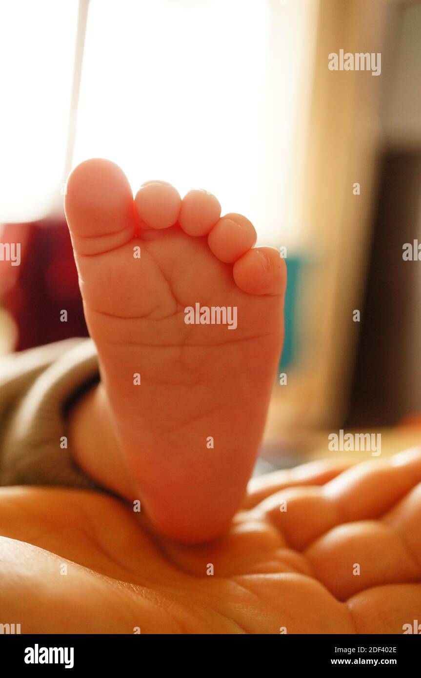 A vertical shot of a new born baby's feet Stock Photo - Alamy