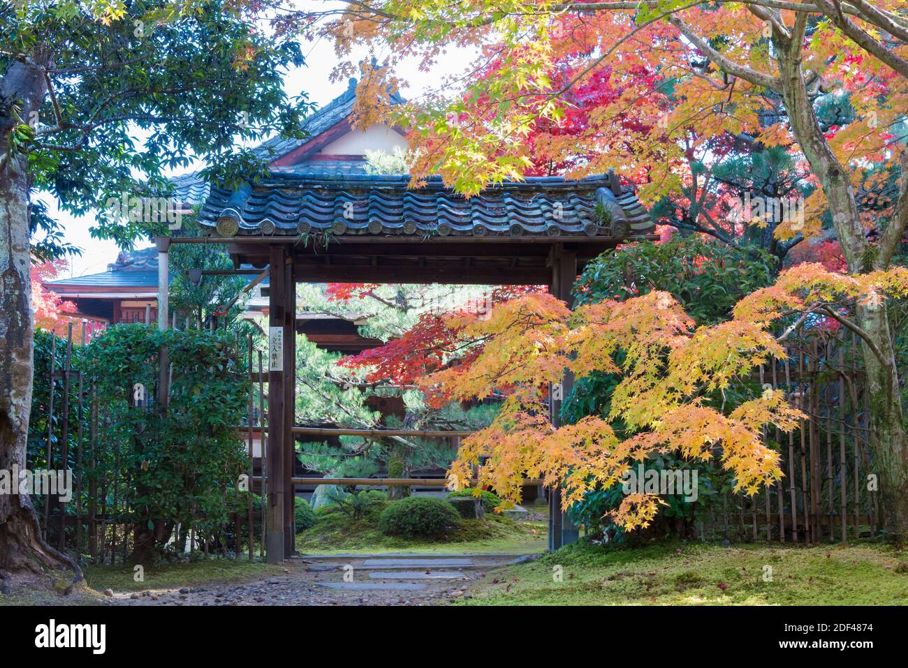 Kyoto, Japan - Autumn leaf color at Ikkyuji Temple (Shuon-an) in ...