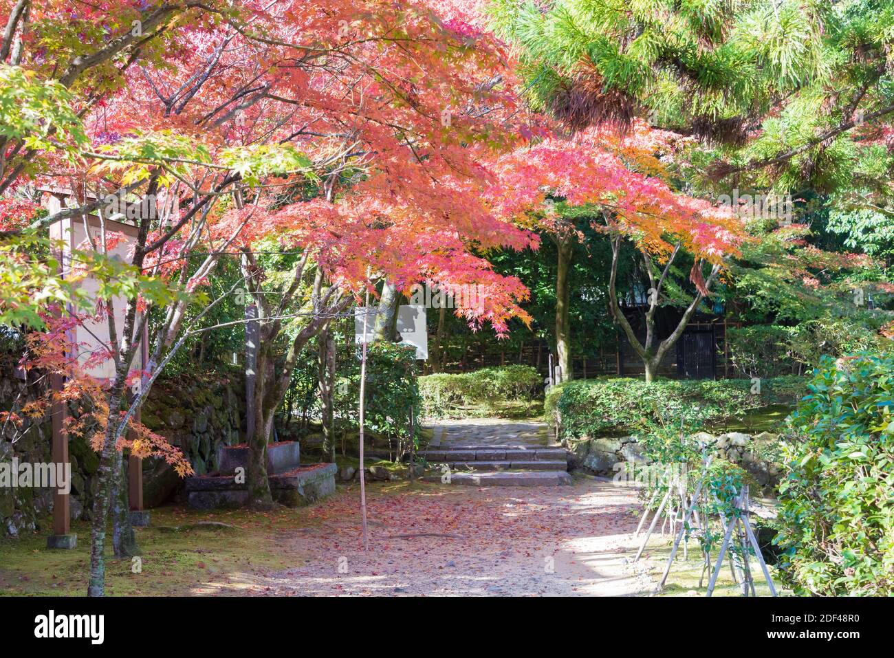 Kyoto, Japan - Autumn leaf color at Ikkyuji Temple (Shuon-an) in ...