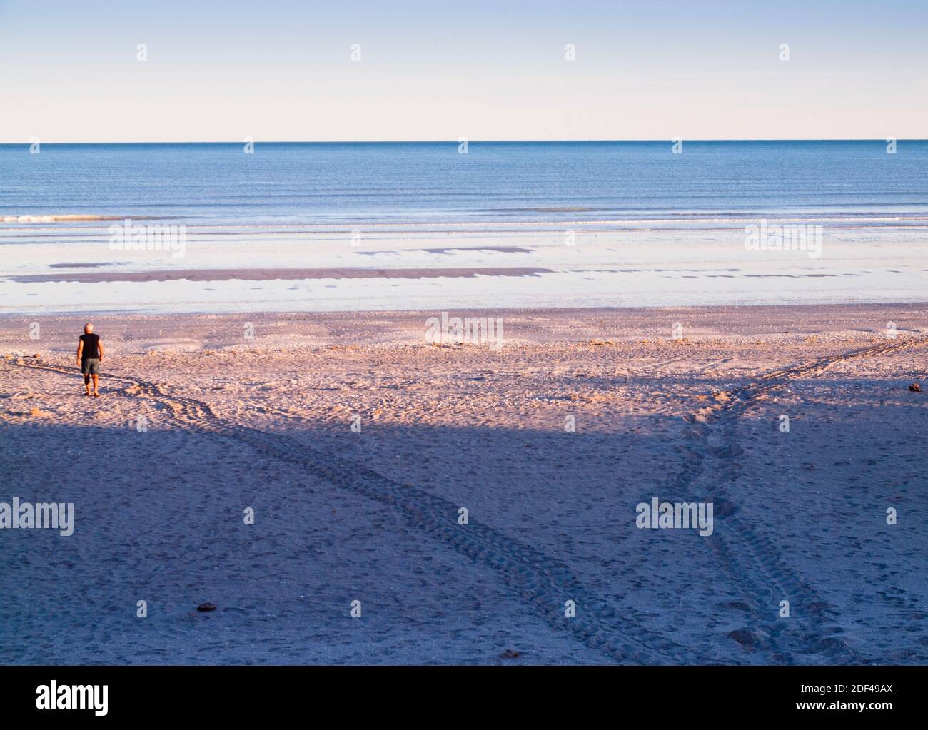 Flatback turtle (Natator depressus) tracks in the sand of 80 Mile Beach ...