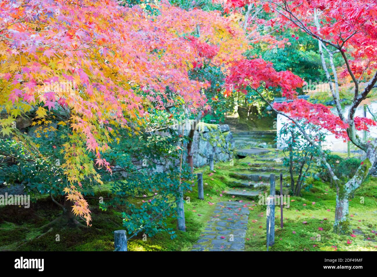 Kyoto, Japan - Autumn leaf color at Ikkyuji Temple (Shuon-an) in ...