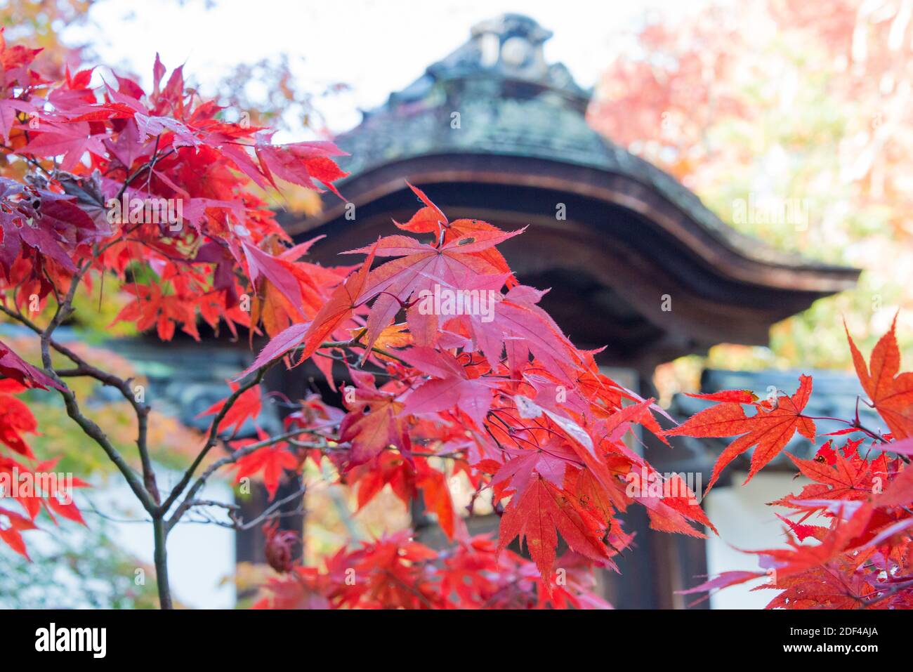 Shuon an hi-res stock photography and images - Alamy