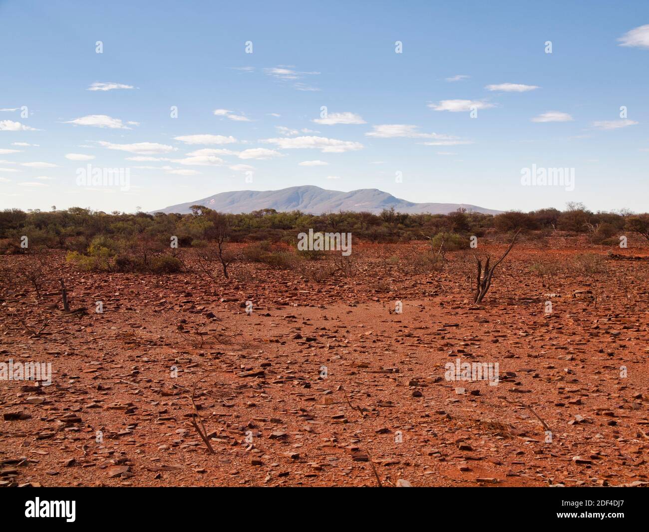 Burringurrah (Mt Augustus, 1105m), is a large Inselberg on Wadjari land ...