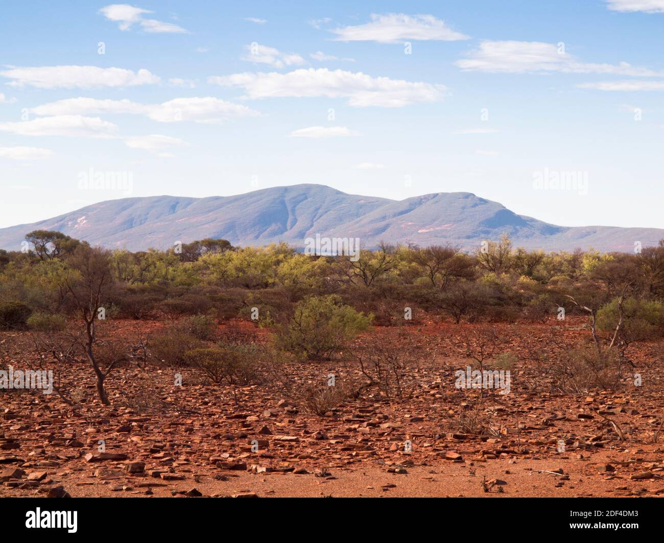 Burringurrah (Mt Augustus, 1105m), is a large Inselberg on Wadjari land ...
