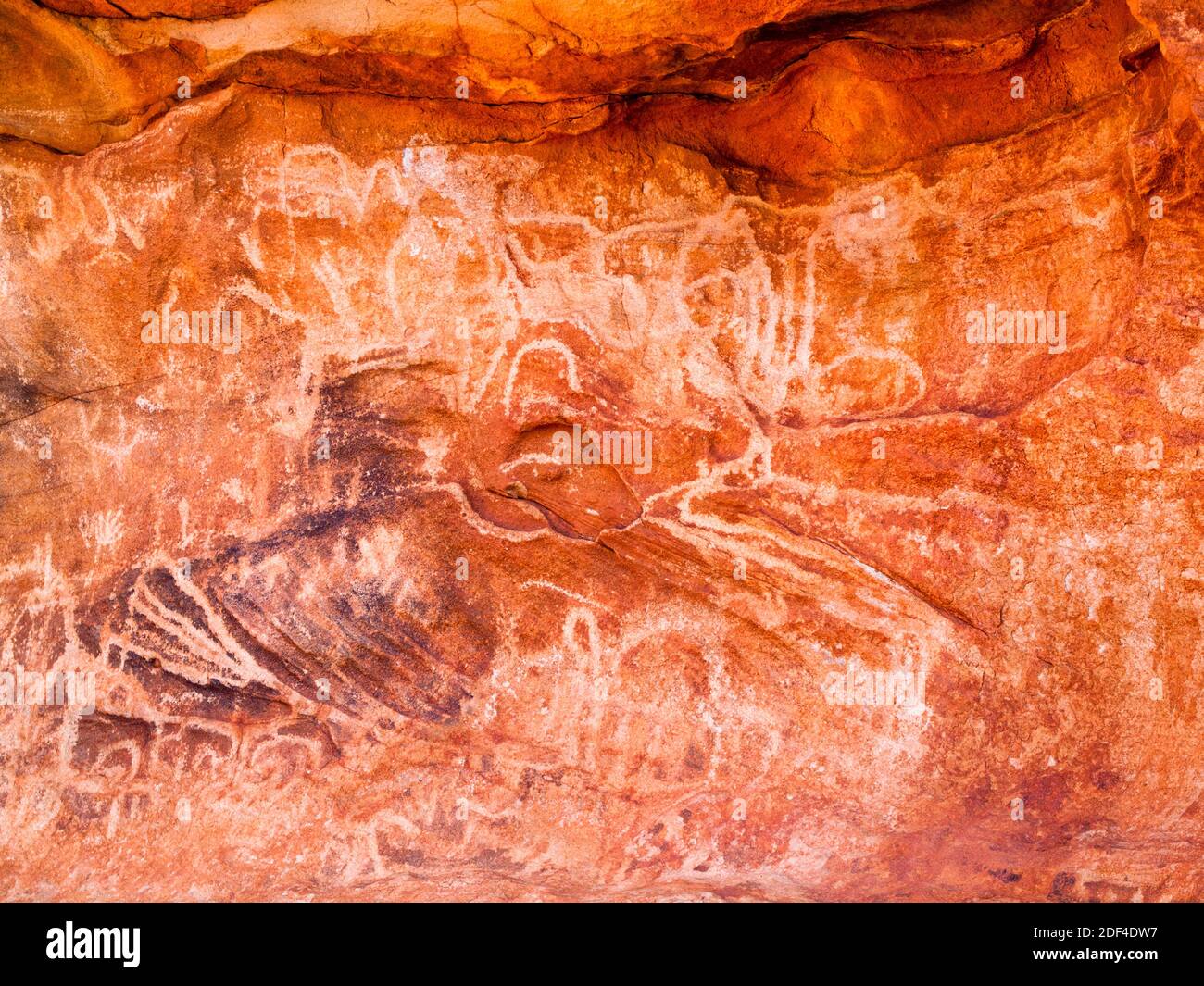 Close-up of Aboriginal petroglyphs at Mundee, Mount Augustus National ...