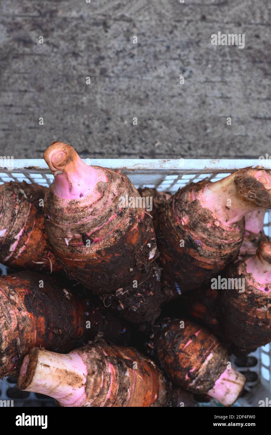 Soil stockpile hi-res stock photography and images - Alamy