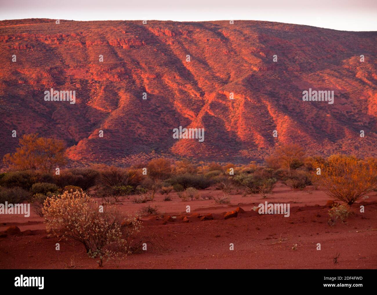 Burringurrah (Mt Augustus,1105m), is a large Inselberg on Wadjari land ...