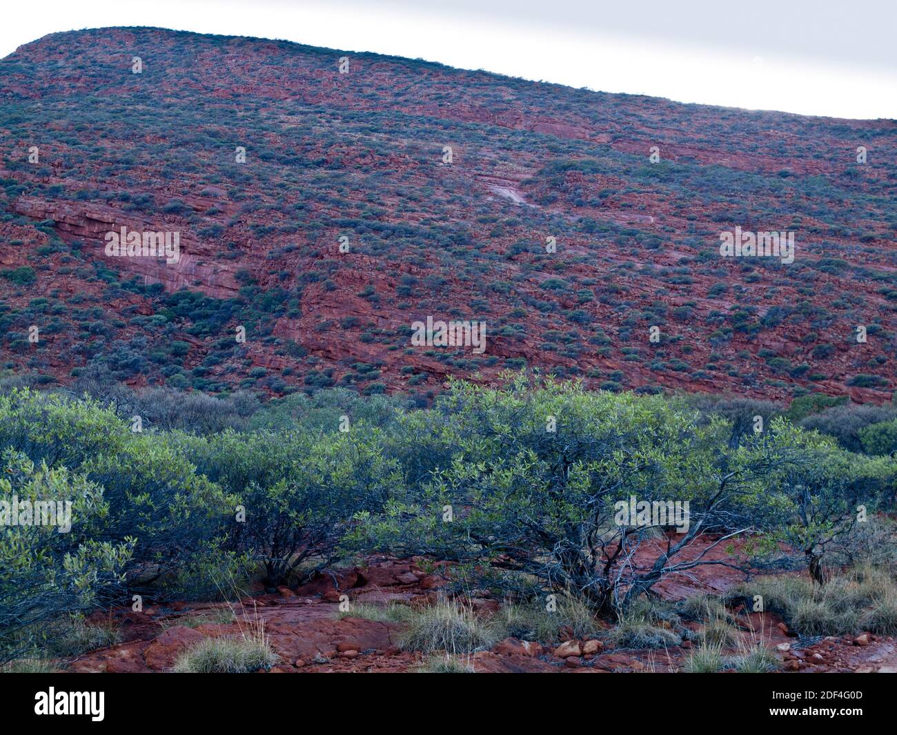 On inselberg hi-res stock photography and images - Alamy