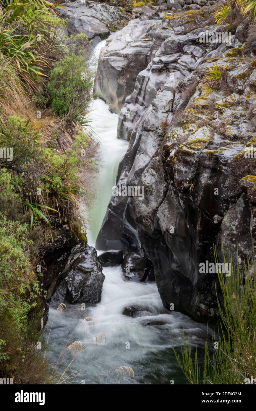 Mahuia river hi-res stock photography and images - Alamy