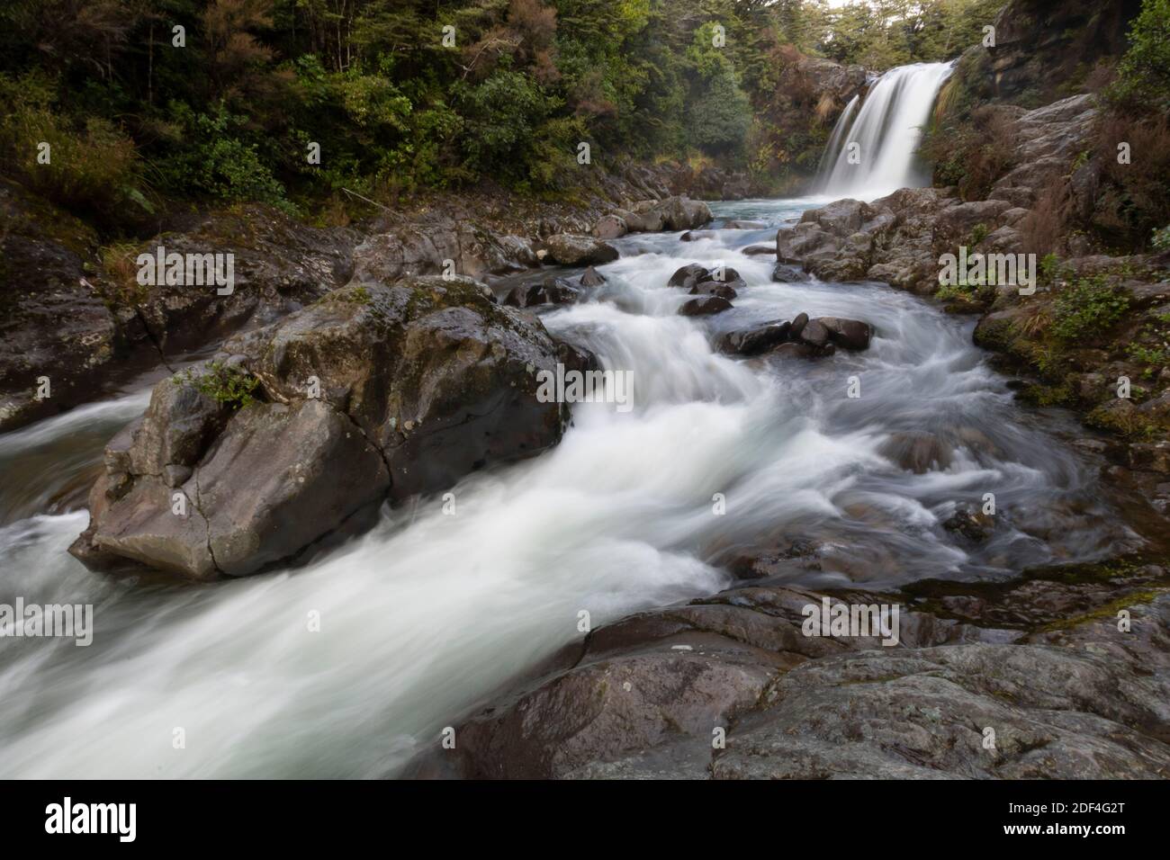 Tawhai waterfall new zealand hi-res stock photography and images - Alamy