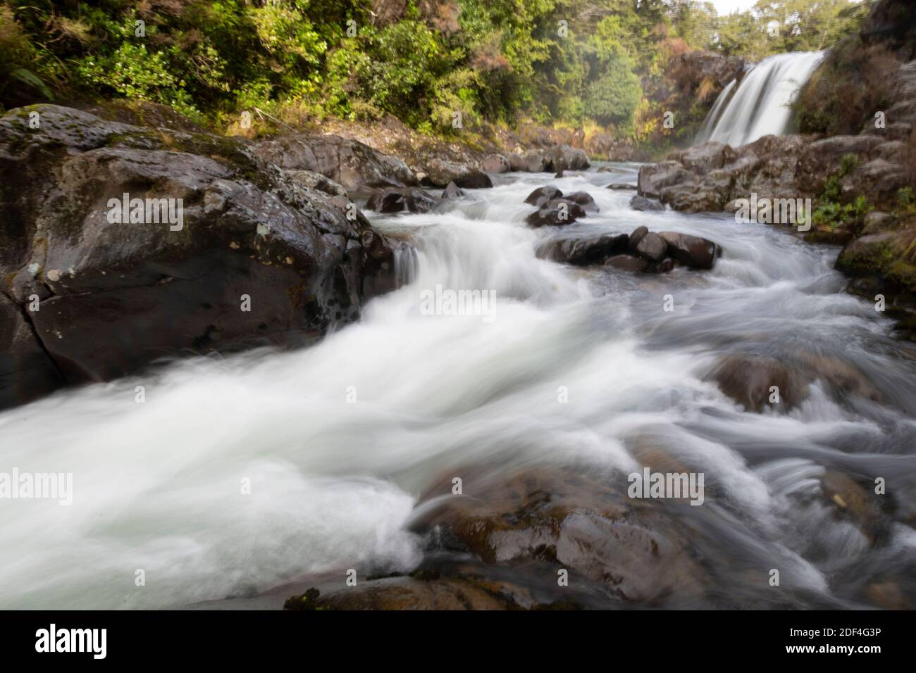Tawhai waterfall new zealand hi-res stock photography and images - Alamy