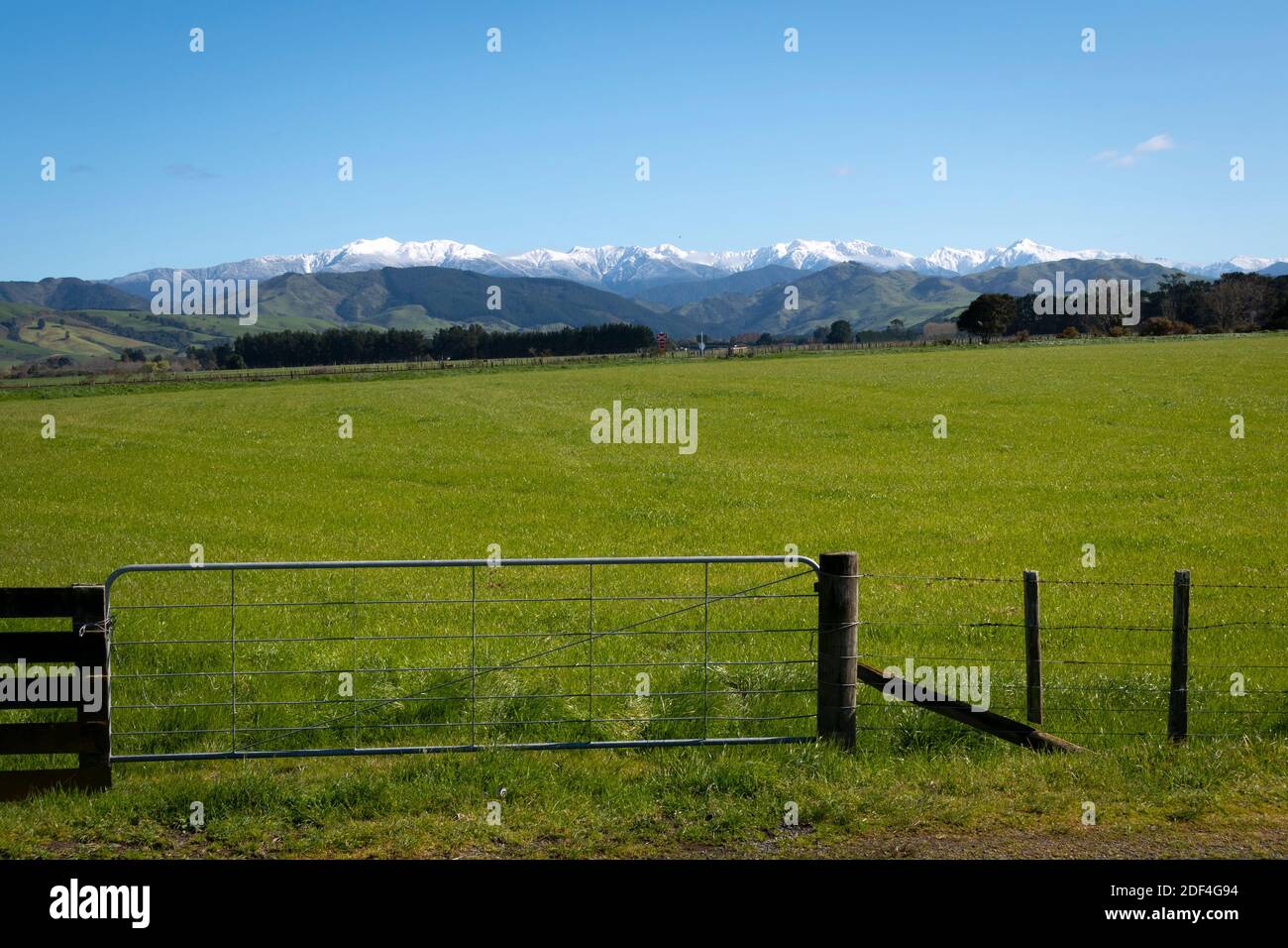 Snow capped Tararua mountain range near Carterton, Wairarapa, North ...