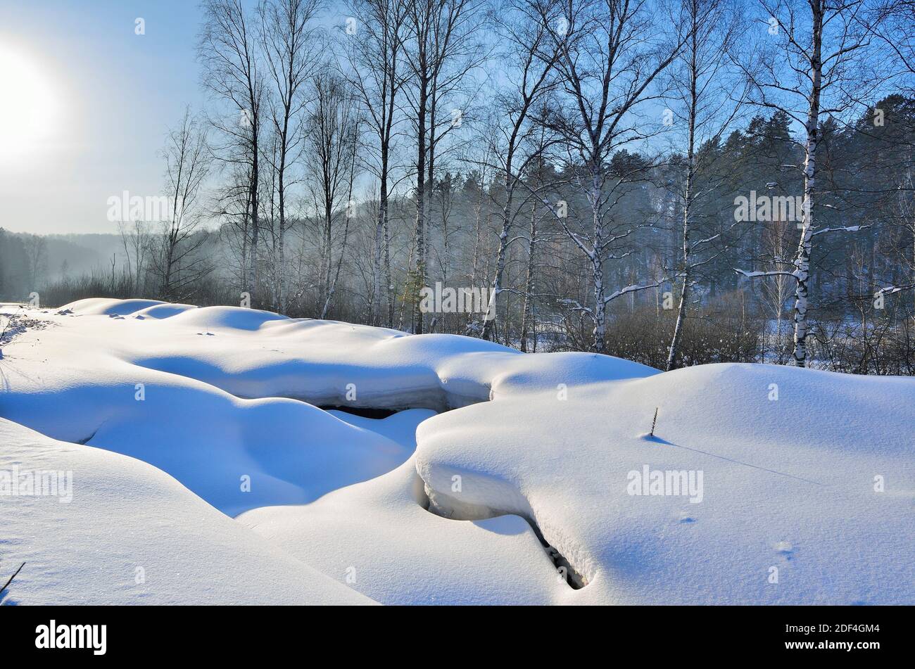Soft bizarre curves of snow surface near the winter forest. Twisty ...