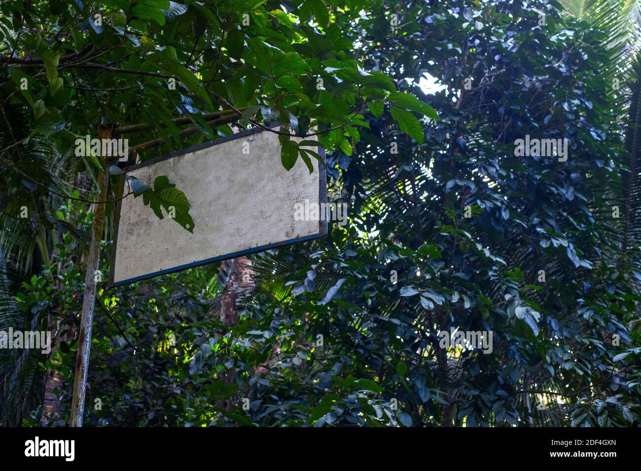 Rustic wooden sign on green forest background. Blank sign of hotel or ...