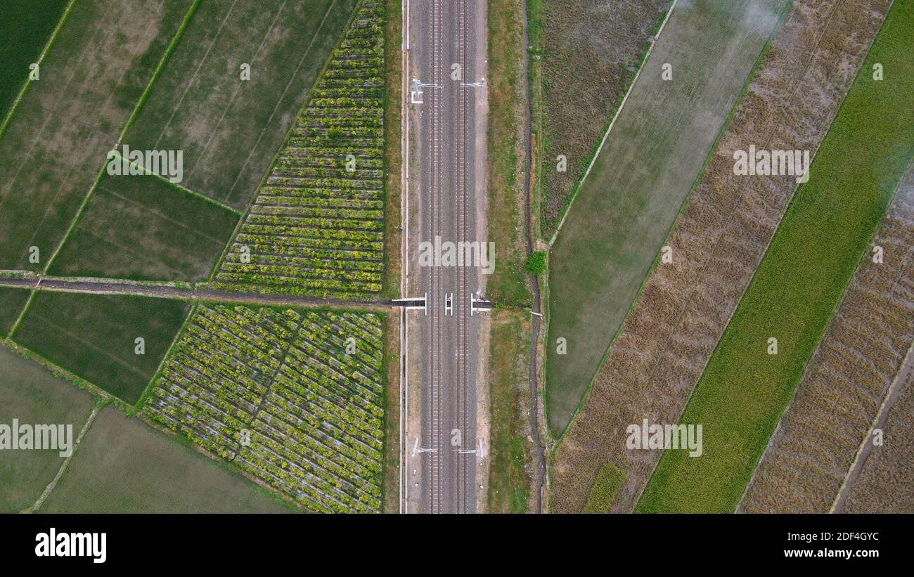 Aerial top view of train rail tracks with rice field around or green ...