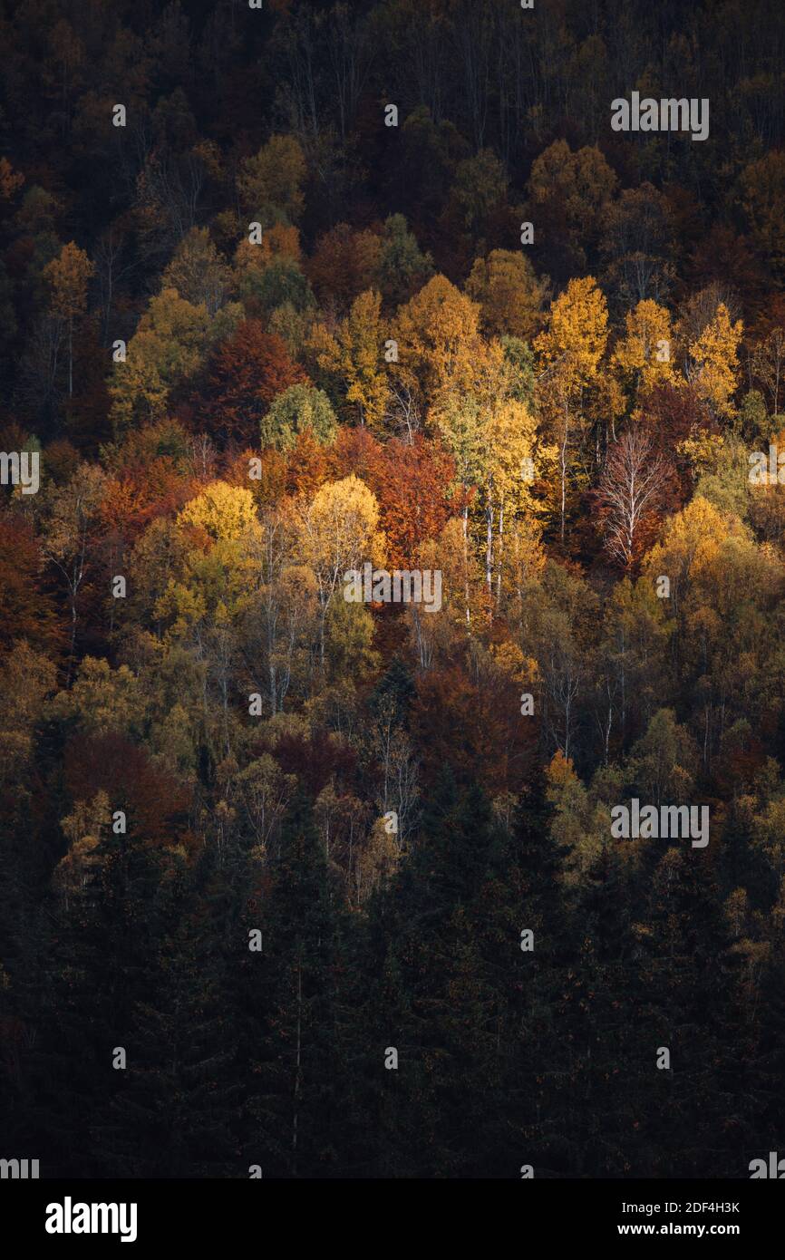 Wallpaper autumn scenery hi-res stock photography and images - Alamy