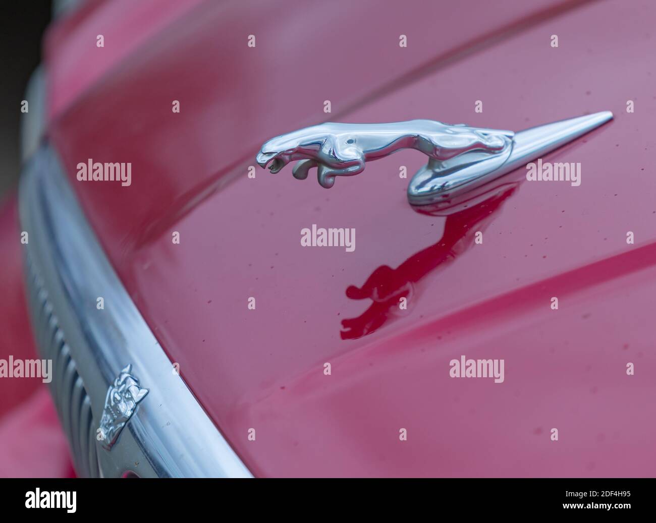 White Rock, BC, Canada-November 15,2020. Leaping Jaguar symbol sign on ...