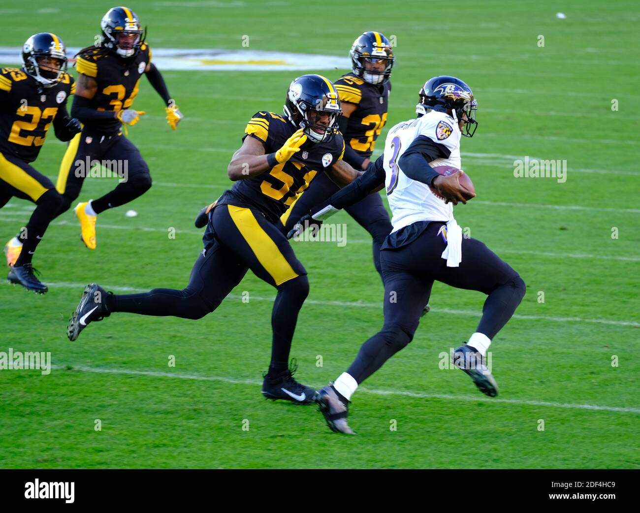 Avery williamson hi-res stock photography and images - Alamy
