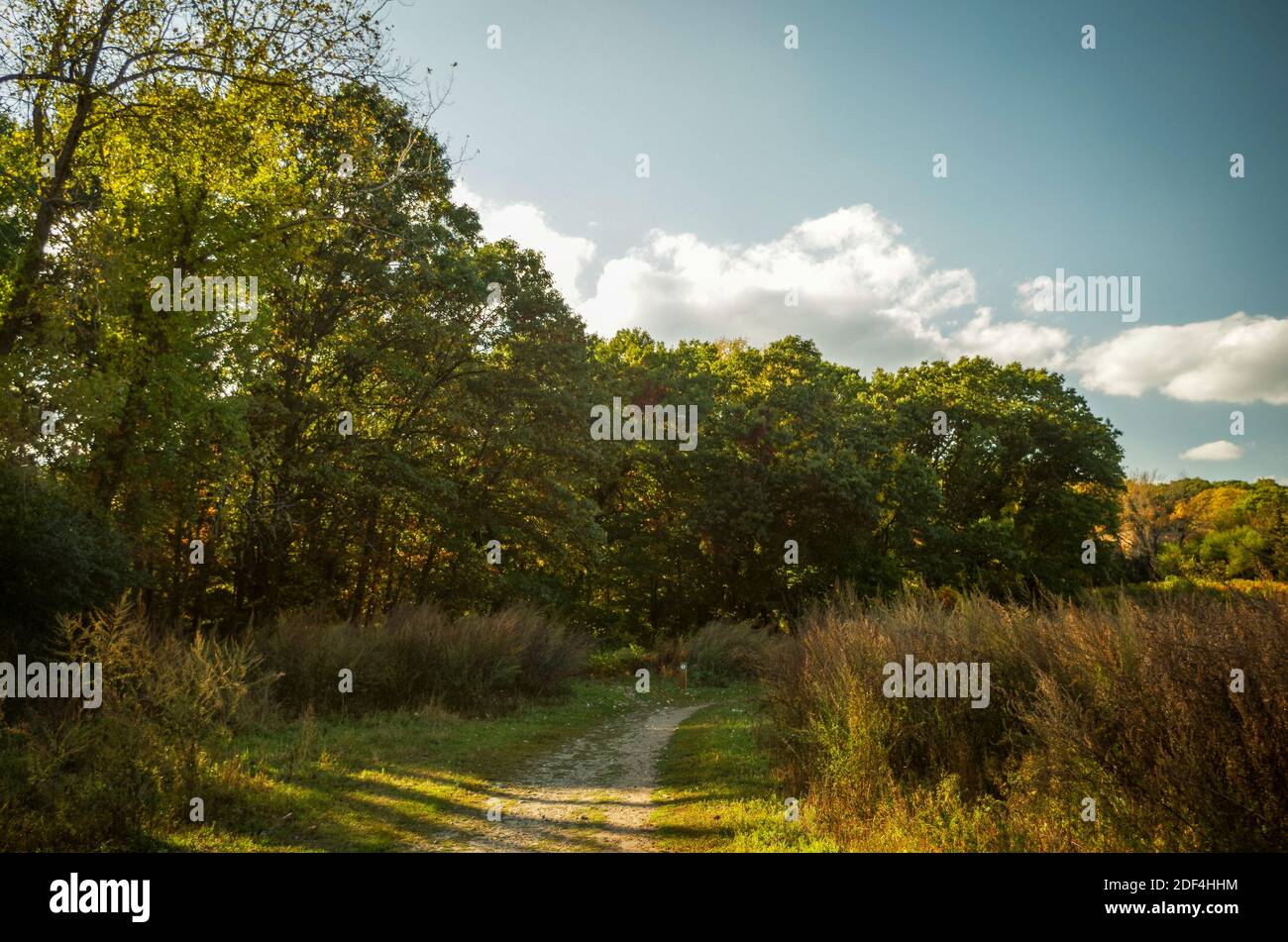 Country road and Field, Eastern, MA Stock Photo - Alamy