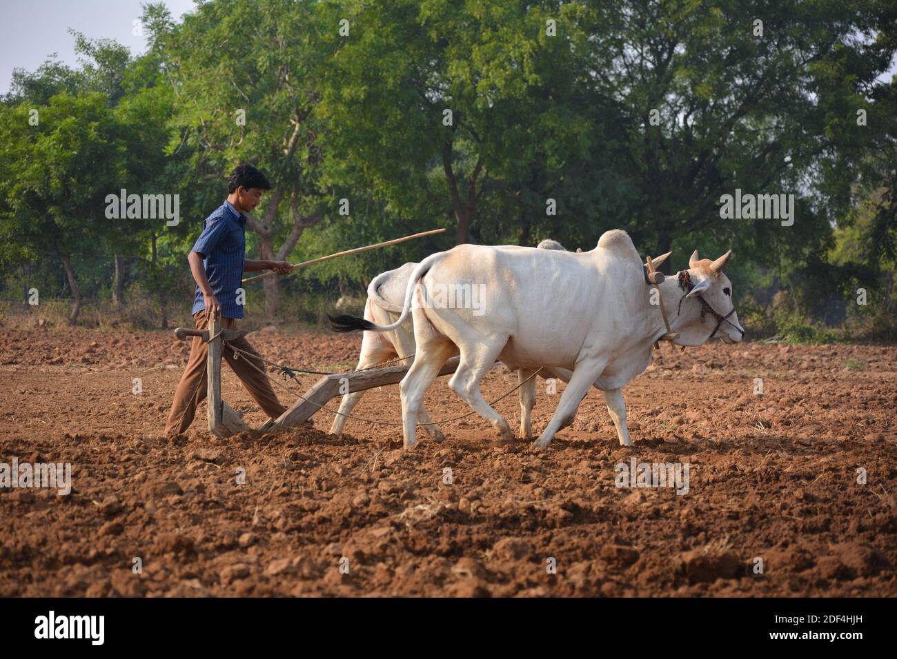 Traditional rural scene hi-res stock photography and images - Alamy