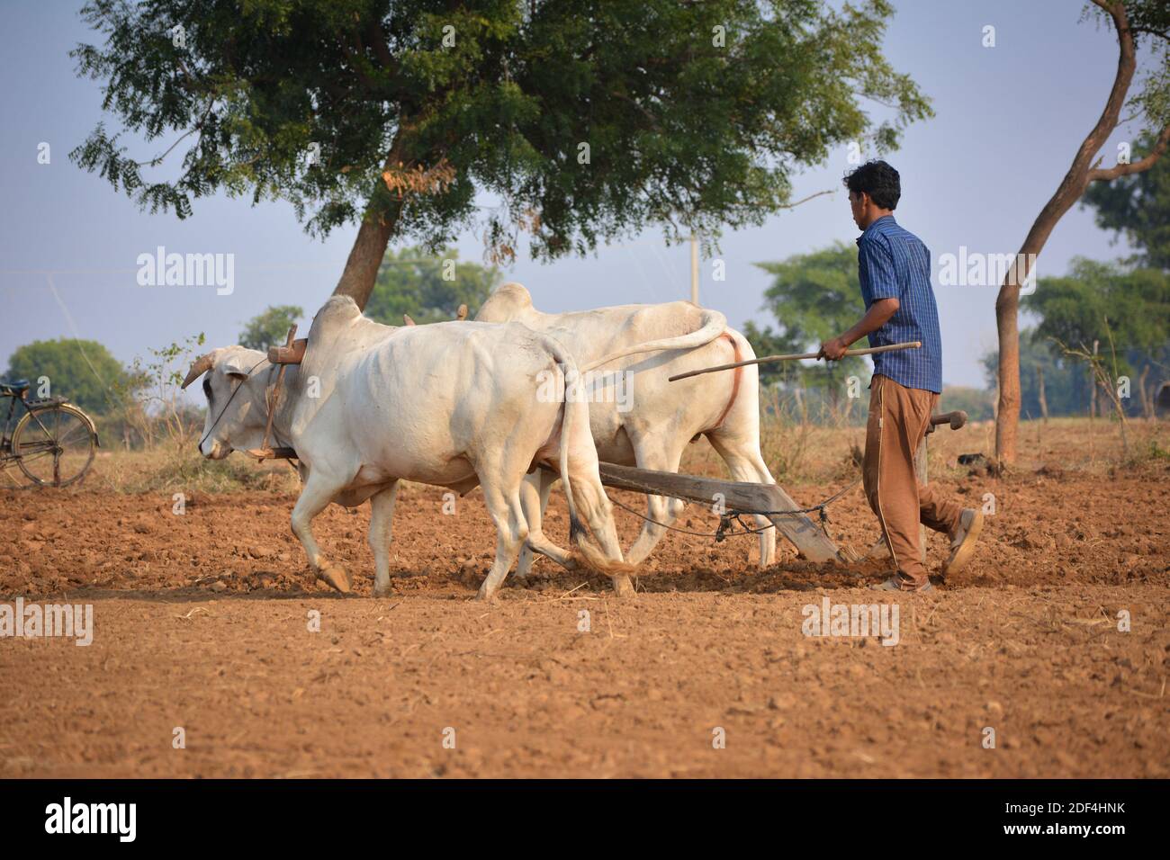 Farmer ploughing field traditional way hi-res stock photography and ...