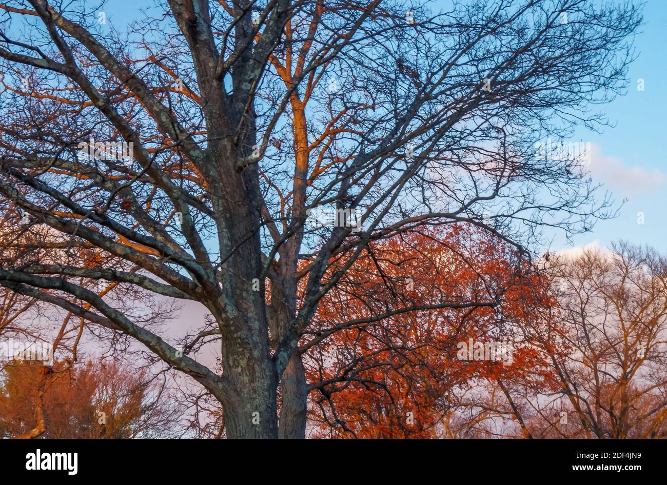 No people in lakes and trees hi-res stock photography and images - Alamy