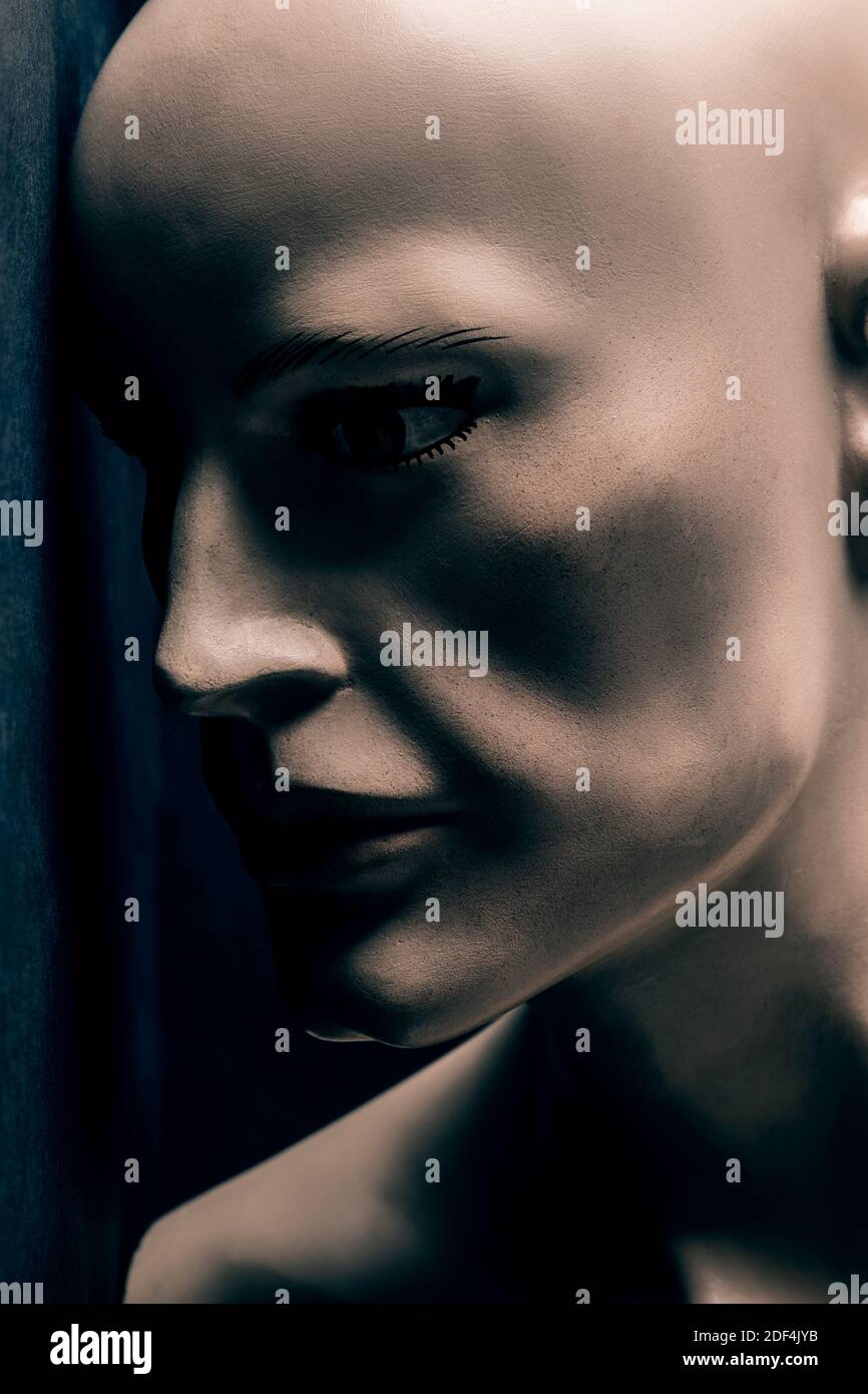 Male mannequin portrait Stock Photo - Alamy