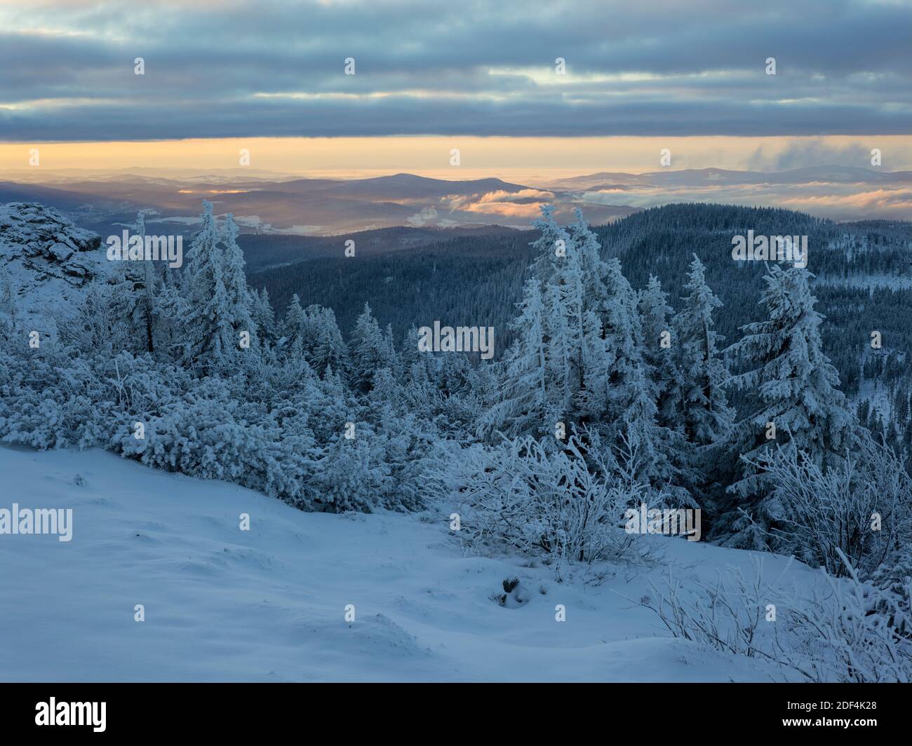 Grosser arber see bavaria hi-res stock photography and images - Alamy