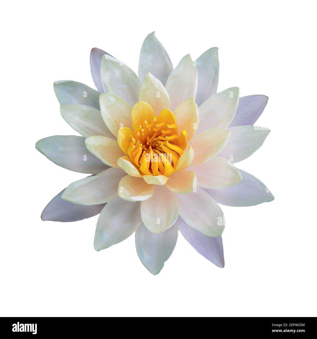 White lotus locations hi-res stock photography and images - Alamy