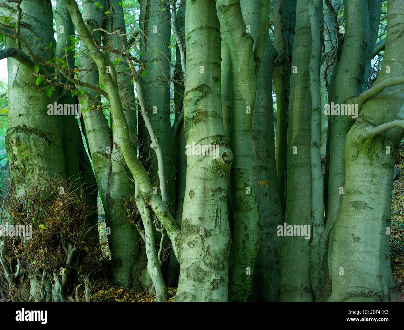 Hesse landscapes hi-res stock photography and images - Alamy