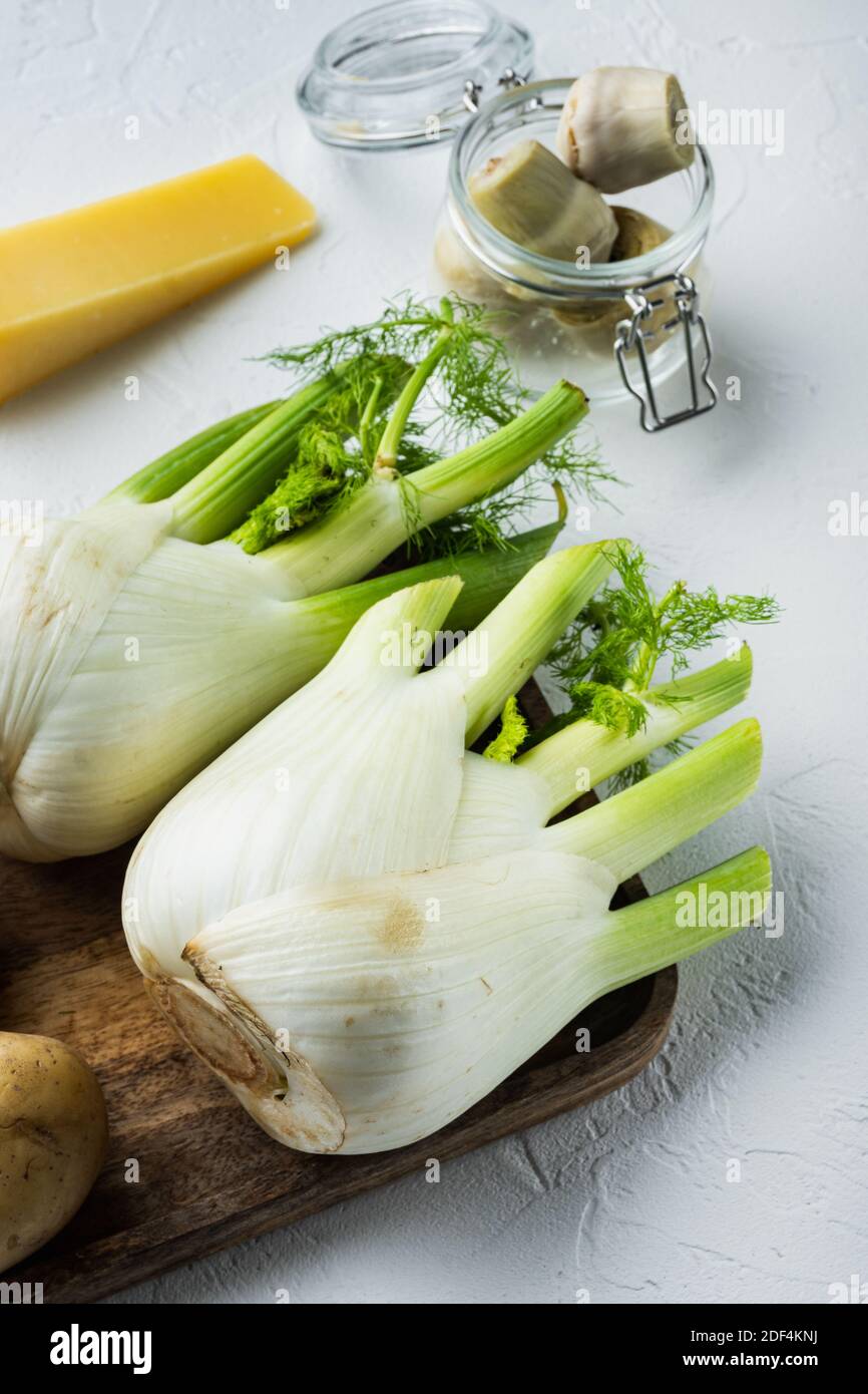 Fresh florence fennel bulb, on white textured background Stock Photo ...
