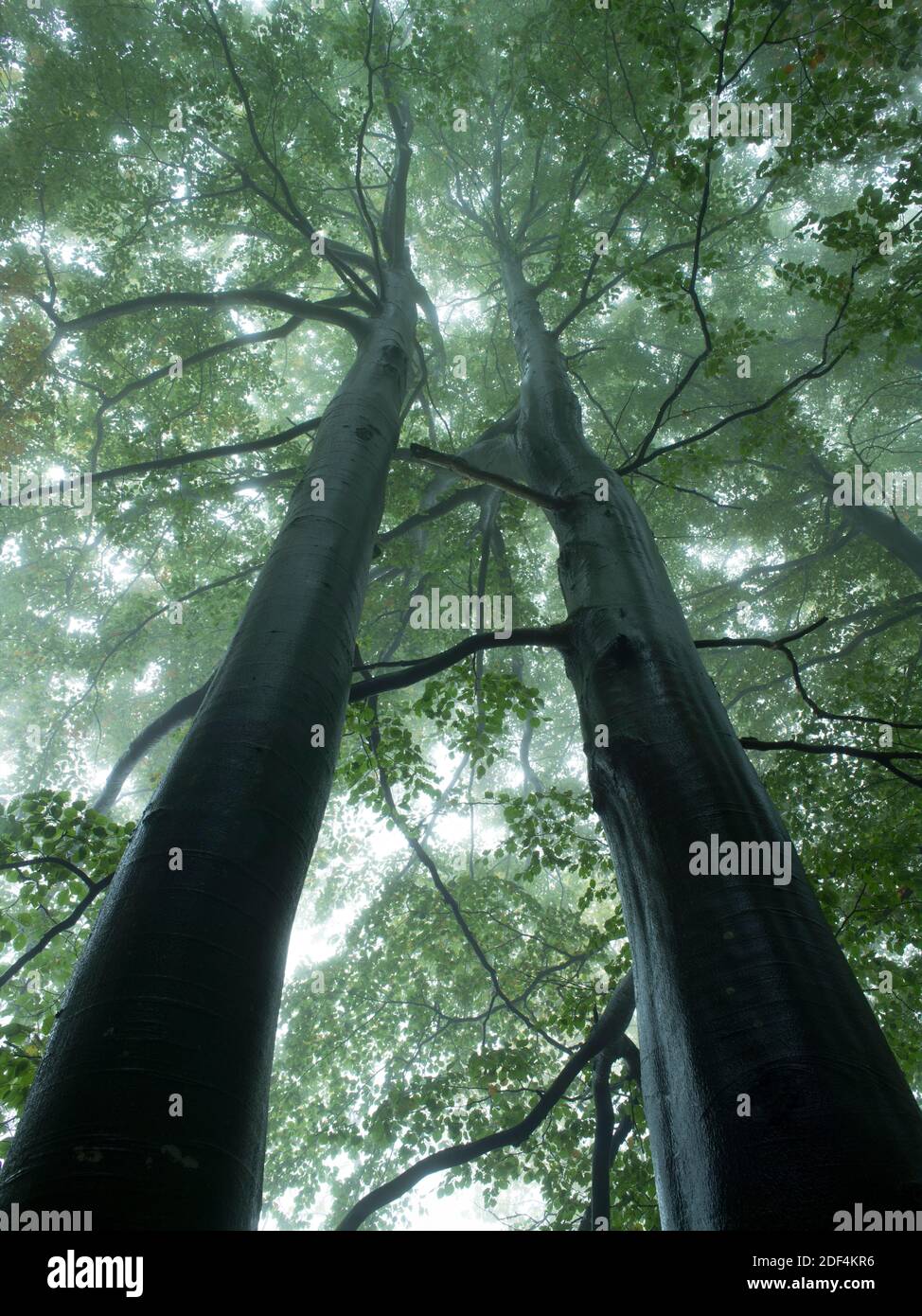 Hesse landscapes hi-res stock photography and images - Alamy