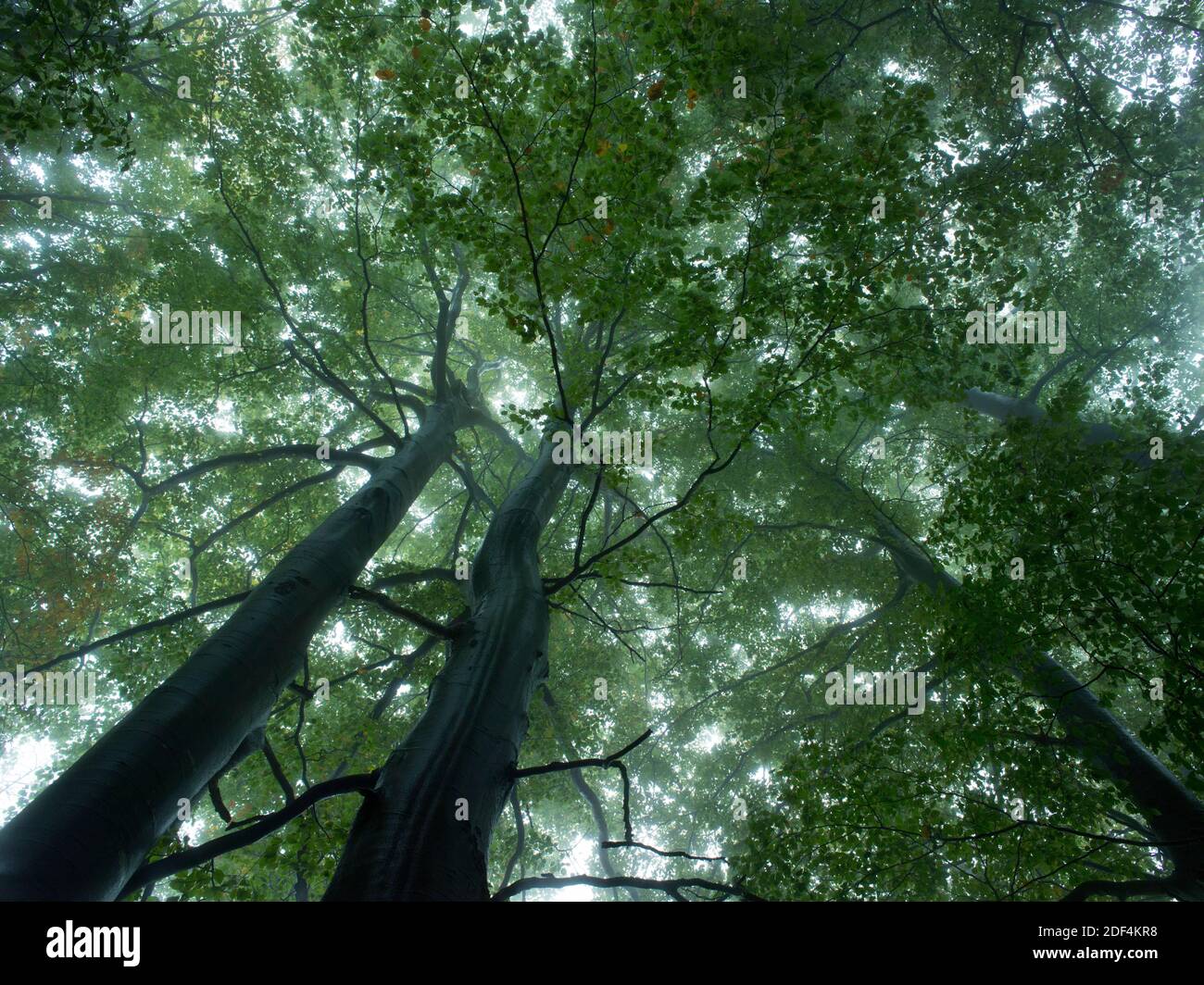 Geography travel germany landscape landscapes hi-res stock photography ...