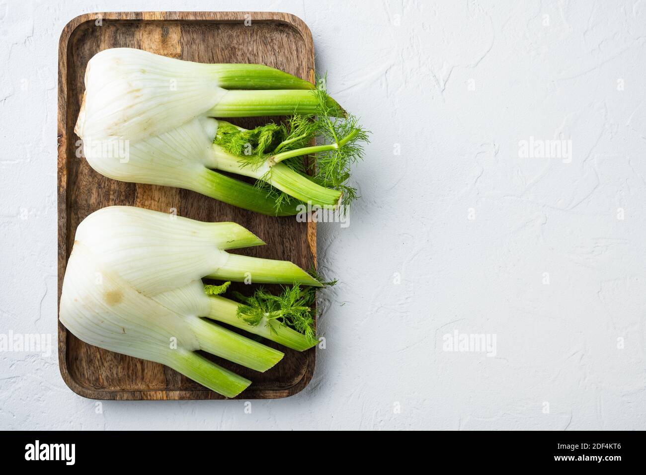 Fennel bulbs, on white textured background, flat lay with space for ...