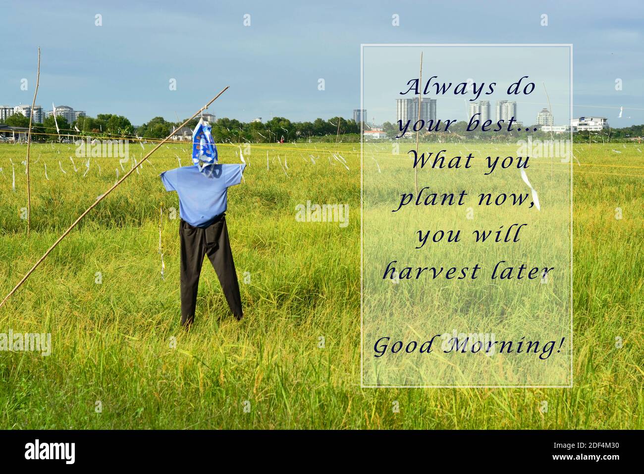 Motivational Quotes About Harvest DON'T JUDGE EACH DAY BY THE HARVEST