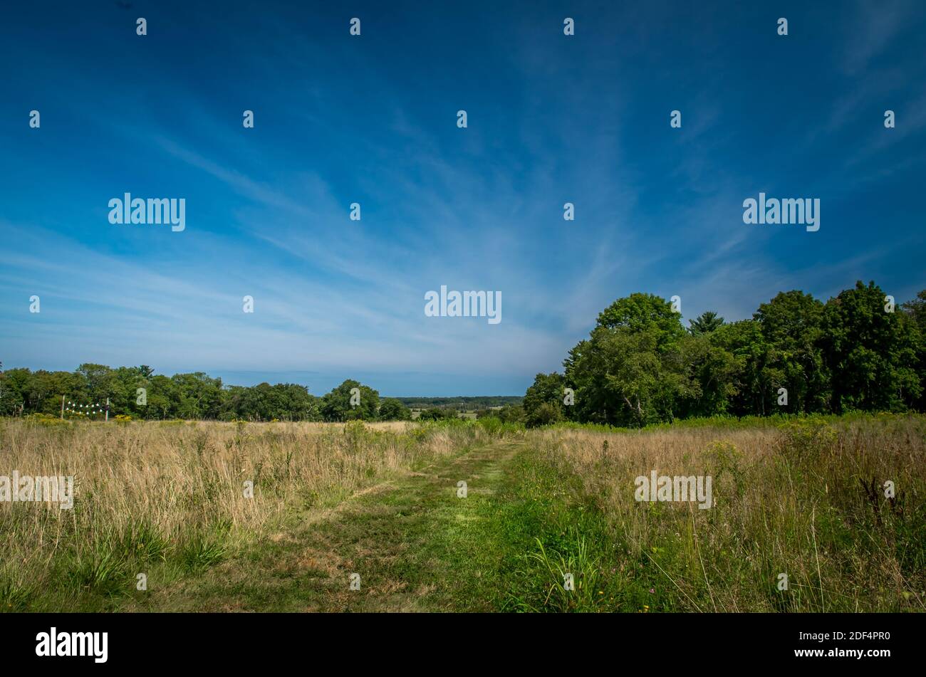 Field at Mass Audubon's North River Wildlife Sanctuary, Marshfield ...
