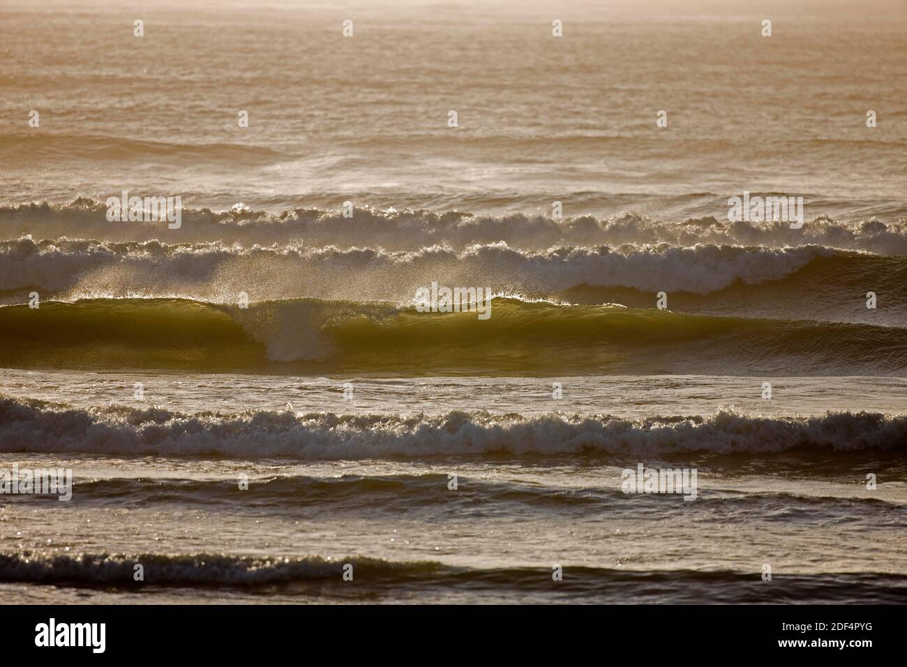 Waves in Atlantic Ocean, Beach at Cape Cross in Namibia Stock Photo - Alamy