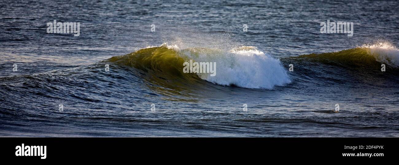 Waves in Atlantic Ocean, Beach at Cape Cross in Namibia Stock Photo - Alamy