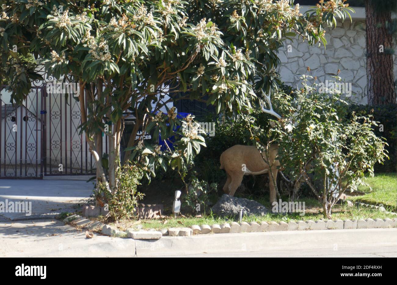 Downey, California, USA 2nd December 2020 A general view of atmosphere ...