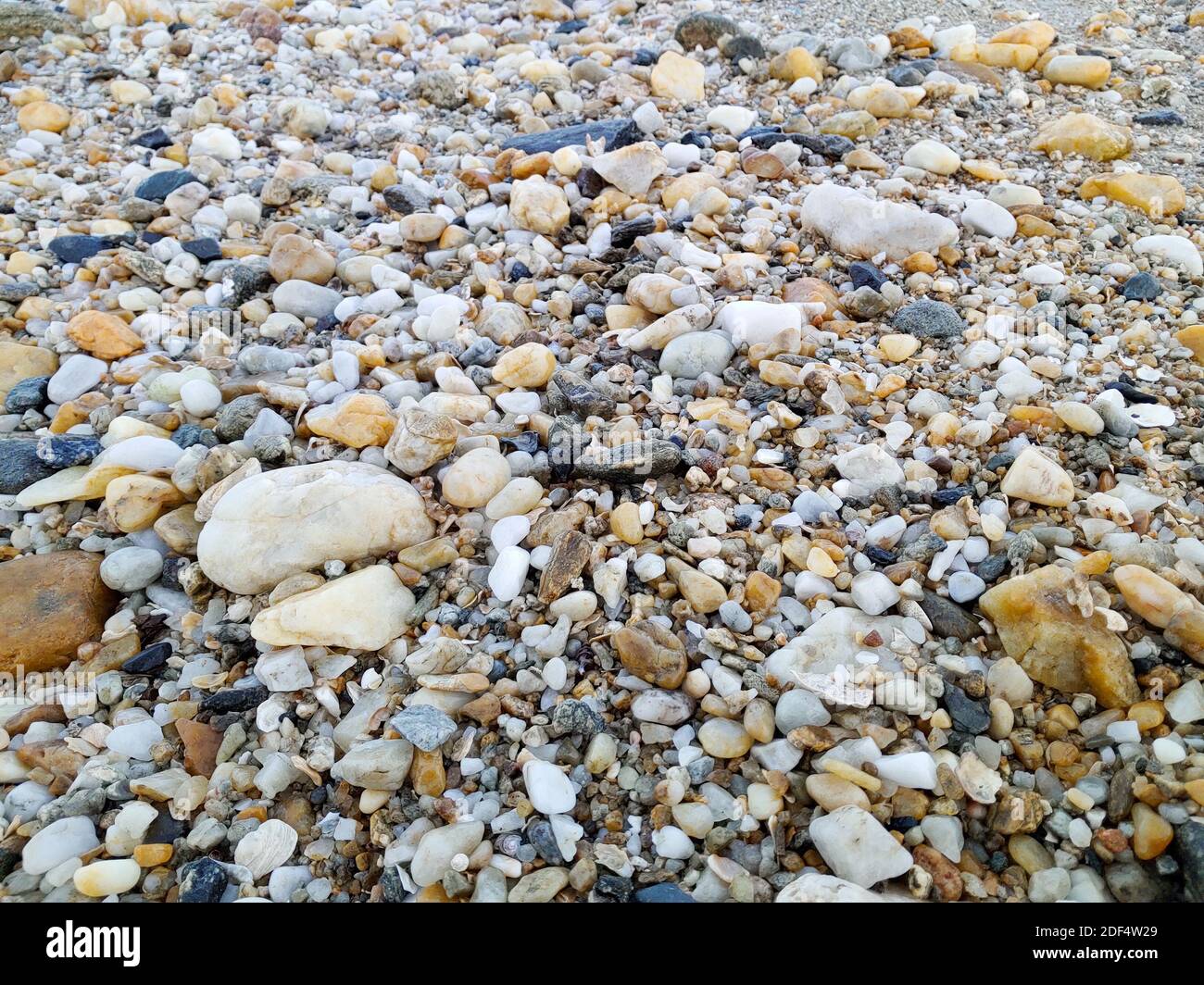 Marine texture hi-res stock photography and images - Alamy