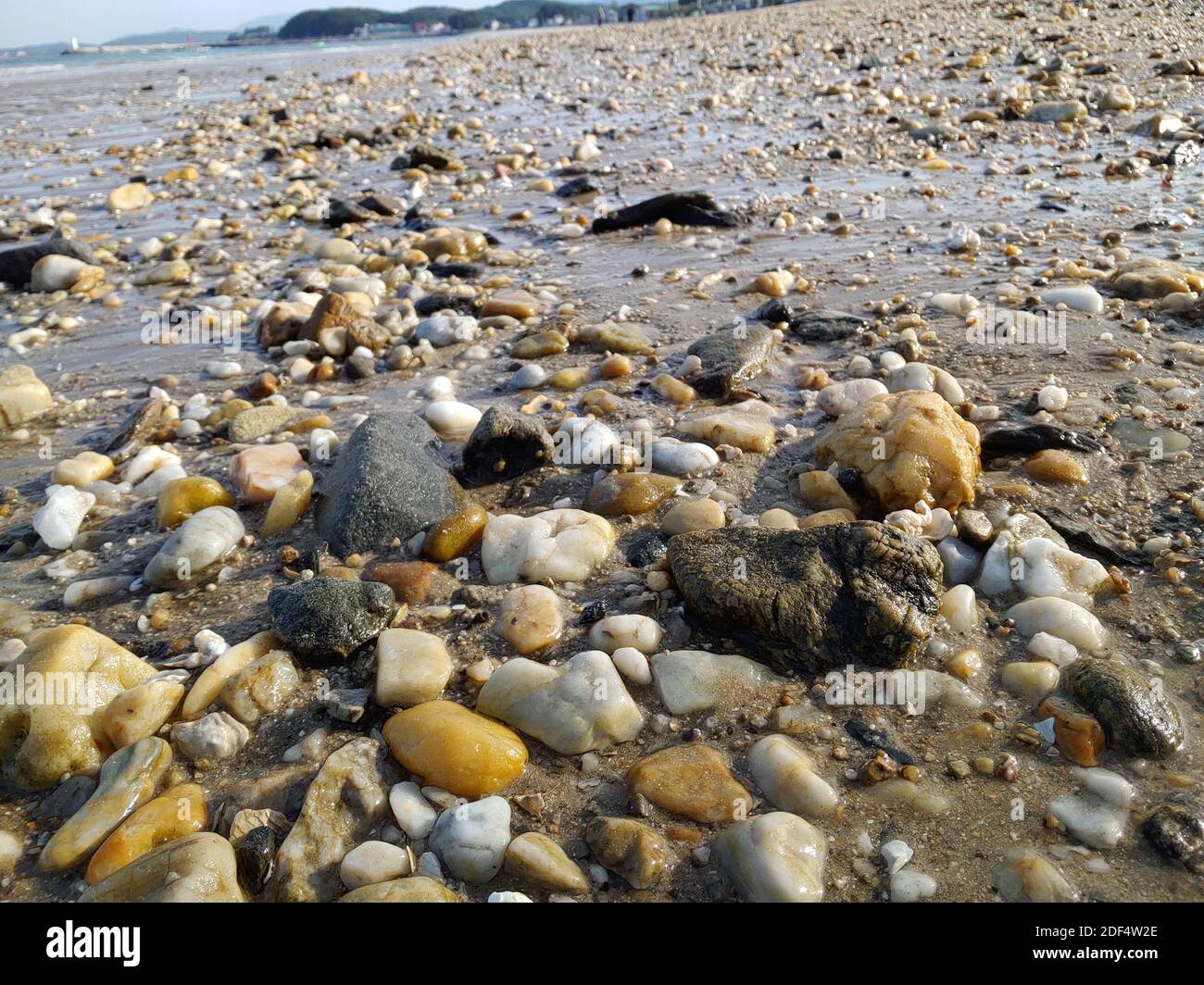 Marine texture hi-res stock photography and images - Alamy