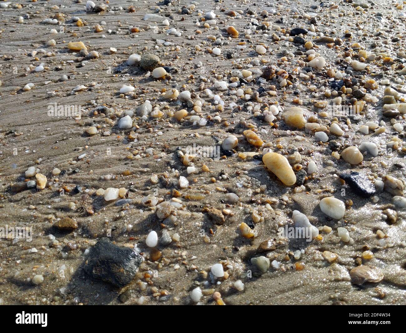 Marine texture hi-res stock photography and images - Alamy