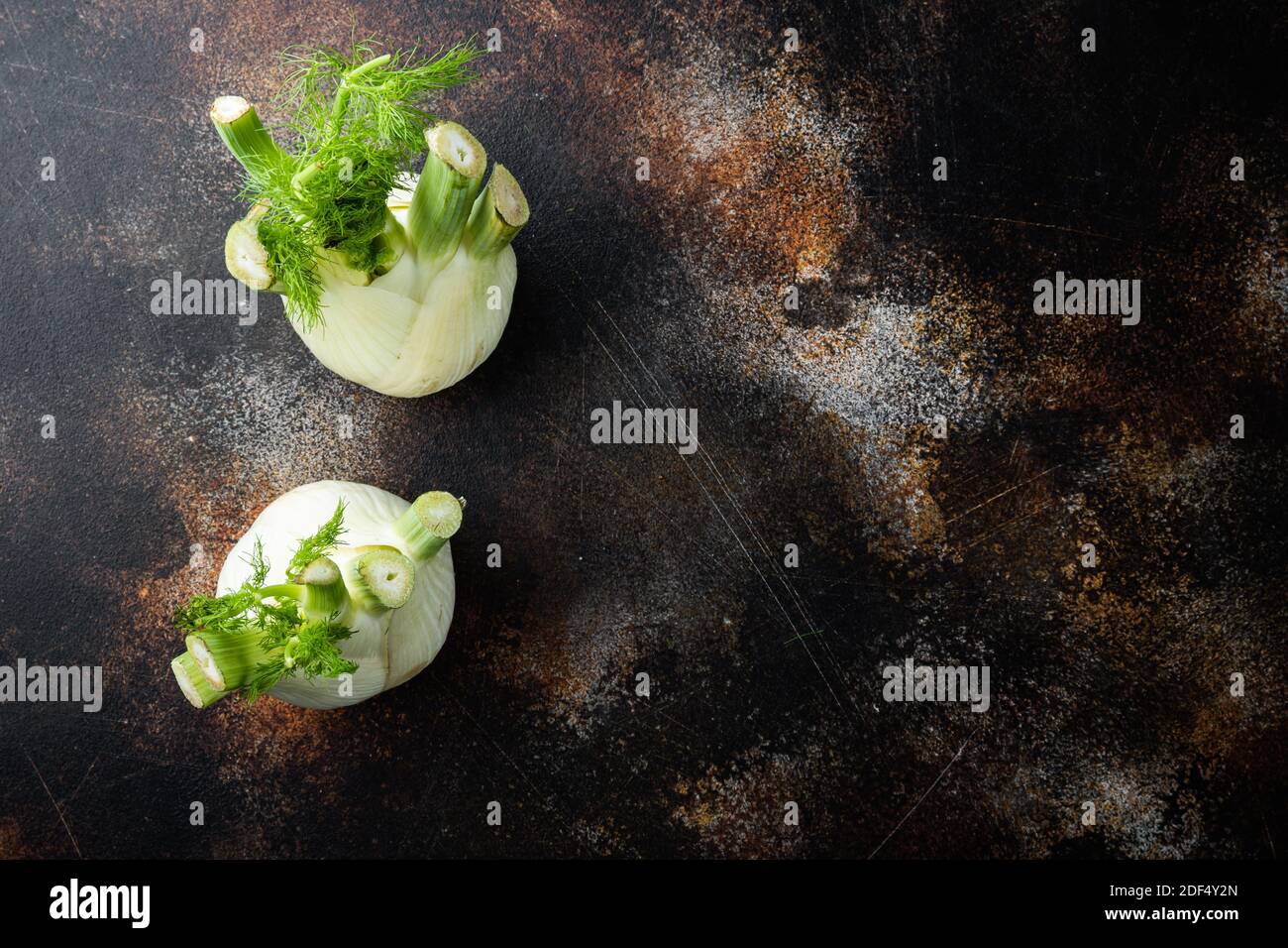 Fennel bulbs, on old rustic background, flat lay with space for text ...